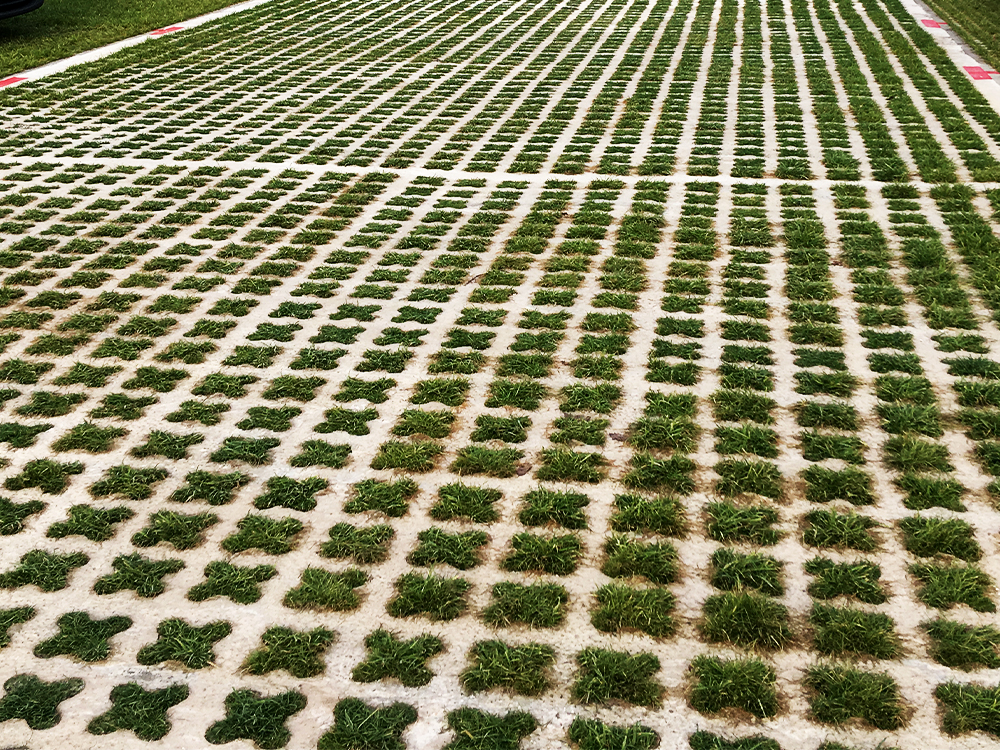 Gazon armé - BTPS PBA